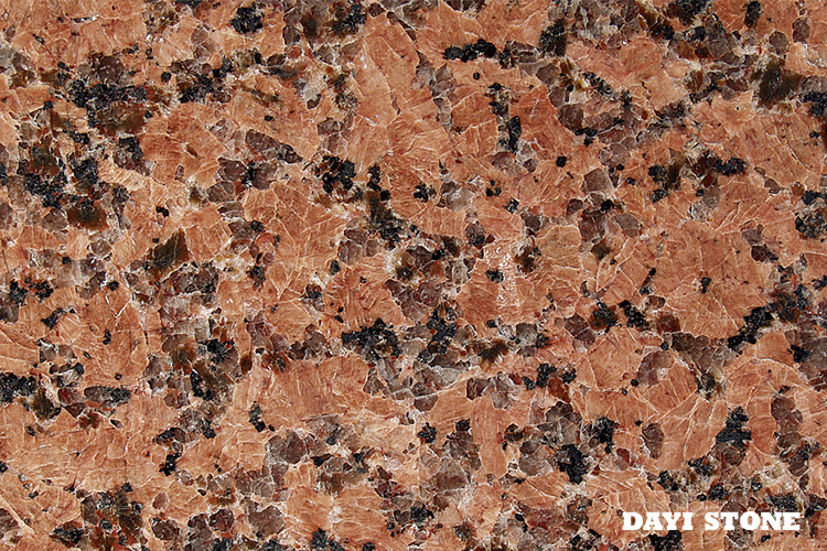 Chocolate Granite Stone : Xiamen Dayi Stone Co.,Ltd