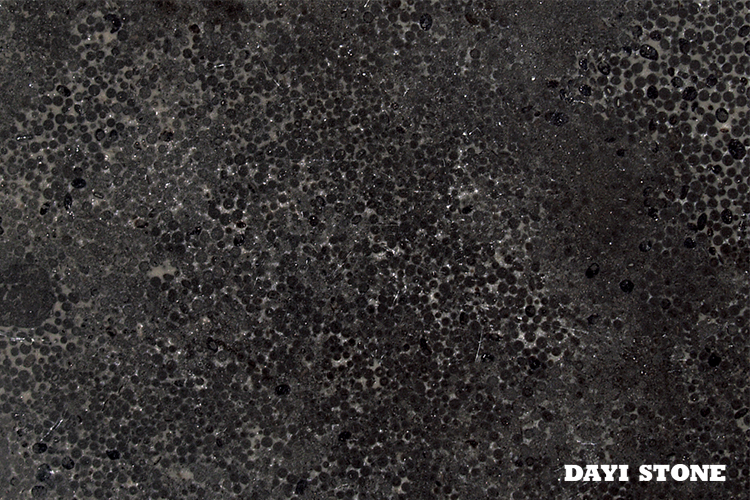 L828 Blue Limestone-Polished : Xiamen Dayi Stone Co.,Ltd